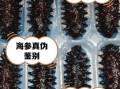 假海参泡发图片_如何辨别真假海参