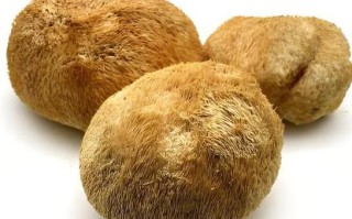 干的猴头菇怎么做好吃_猴头菇泡发技巧