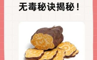 长期吃制何首乌的危害_何首乌伤肝吗