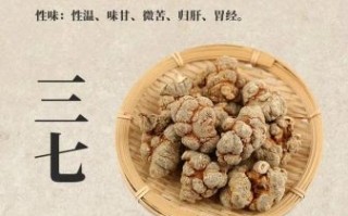 三七片的功效与作用_三七片适合什么人吃