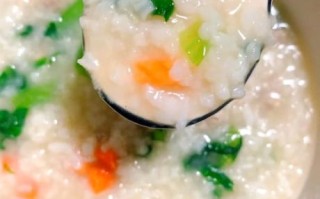 营养瘦肉粥怎么做_瘦肉粥做法大全