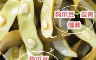 狗爪豆怎么种植_狗爪豆的功效与作用