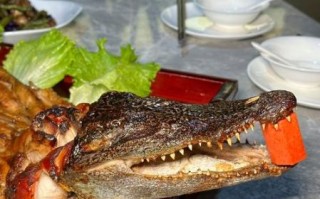 鳄鱼肉怎么做好吃_鳄鱼肉家常做法视频