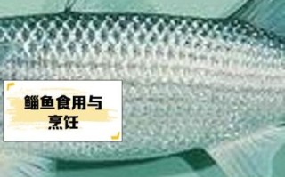 鮣鱼为什么能吸附在鲨鱼身上_鮣鱼吸盘结构原理