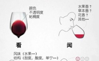 红酒怎么喝才正确_红酒品鉴三步法