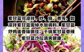 紫包菜的营养价值_紫包菜怎么吃好