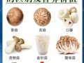 菌菇有哪些种类_菌菇营养价值排行榜