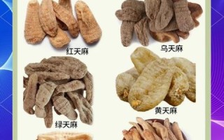 天麻适合什么人吃_天麻的功效与作用禁忌