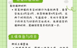 茼蒿怎么种_茼蒿种植时间和方法