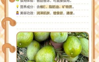 香榧怎么吃最好_香榧一天吃多少粒