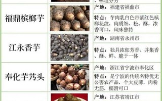 芋头有哪些种类_芋头品种怎么选
