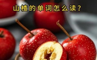 山楂英语怎么说_山楂英语例句