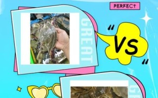 大闸蟹和梭子蟹有什么区别_哪个更好吃