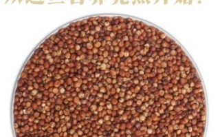 高粱米怎么做好吃_高粱米做法大全