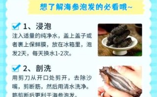 新鲜海参怎么泡发_新鲜海参怎么吃最好