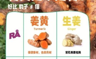 黄姜的功效与作用有哪些_黄姜和生姜的区别