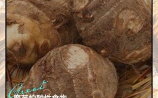 吃魔芋一个月瘦30斤_真的假的