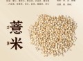 薏米的营养价值及功效与作用_薏米怎么吃最养人