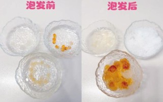 皂角米怎么煮_皂角米泡发多久