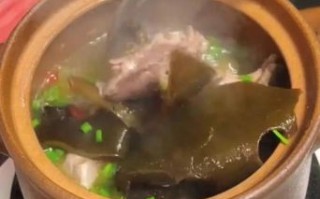 海带鸭肉汤的做法大全_海带鸭肉汤怎么炖不腥