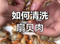 扇贝怎么清洗_清洗扇贝内脏的方法
