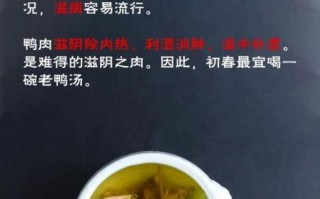 鸭架汤的做法_鸭架汤怎么炖不腥