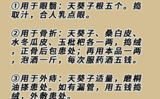 天葵期间是什么意思_天葵期间注意事项