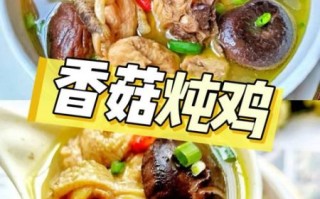 香菇炖鸡块怎么炖好吃又简单_家常香菇炖鸡块做法
