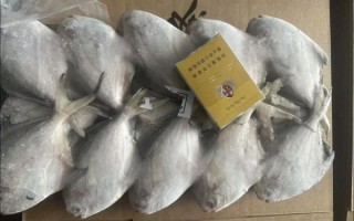 冷冻鲳鱼多少钱一斤_冷冻鲳鱼价格行情