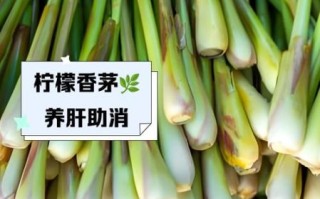 柠檬草怎么种_柠檬草的功效与作用