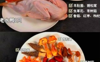 重庆老鸭汤怎么做_正宗做法详细步骤