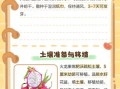 火龙果树怎么种_火龙果几年结果