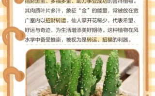 家里千万不要养仙人掌_仙人掌风水禁忌