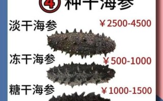 鲜海参多少钱一斤_鲜海参价格为什么差别大