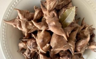 菱角煮熟了可以放多久_冷藏还是冷冻
