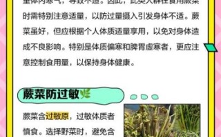 厥菜不能和什么一起吃_厥菜相克食物有哪些