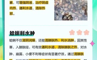 蛤蜊的营养价值_蛤蜊的功效与作用