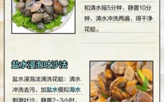 花蛤怎么清洗_花蛤最简单的做法