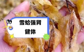 雪蛤的功效与作用_雪蛤怎么吃最好