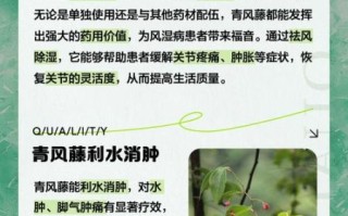 青风藤的功效与作用_青风藤主治哪些疾病