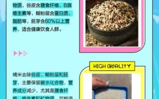 糙米图片长什么样_糙米和精米外观区别