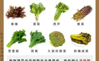 腌菜亚硝酸盐是怎么产生的_如何降低亚硝酸盐含量