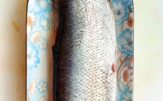 翘嘴鱼怎么做好吃_翘嘴鱼的家常做法大全