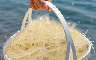 干货龙须菜怎么泡发_龙须菜凉拌还是热炒好吃