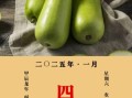 瓠子有毒吗_瓠子苦味还能吃吗