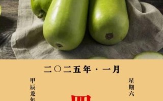 瓠子有毒吗_瓠子苦味还能吃吗