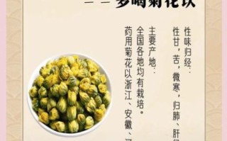 菊花茶的功效与禁忌_哪些人不能喝菊花茶