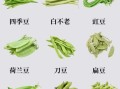 豇豆图片_豇豆怎么挑选