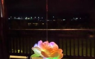 醋醋cucu是谁_醋醋cucu个人资料