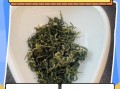 碧螺春属于什么茶_碧螺春怎么泡才正确